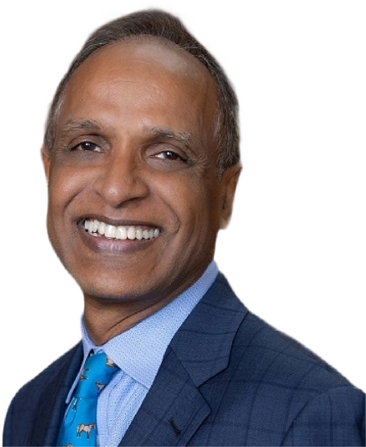 Krishna G. Palepu | Academic Blog